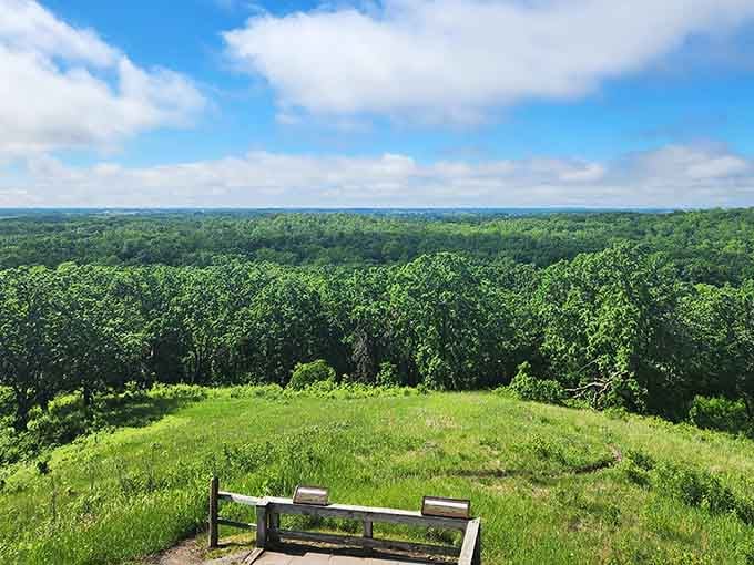 Benches positioned for maximum contemplation, because sometimes you need to sit and appreciate the view properly.