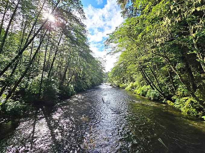 Crystal clear waters wind through Sitka's temperate rainforest, creating a soundtrack of gentle ripples that's better than any meditation app.