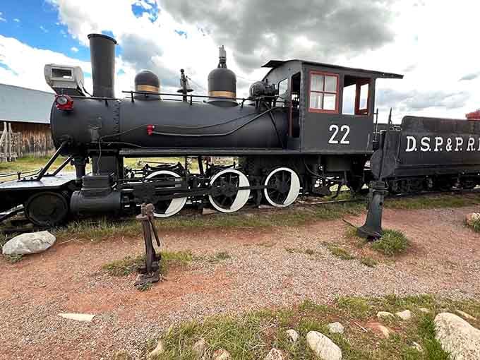 This iron horse carried hopes and fortunes through mountain passes when "express shipping" meant surviving the journey.