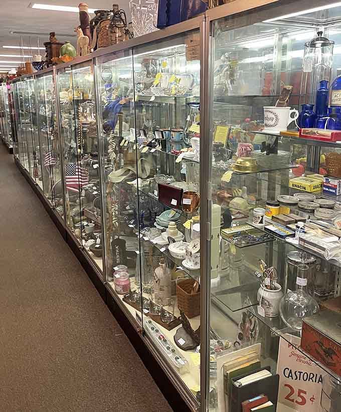 Glass cases stretching into infinity, each shelf holding someone's cherished collection waiting for its next devoted owner.