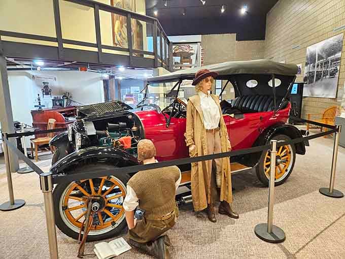 The Stearns History Museum showcases vintage automobiles and local heritage without charging admission like you're visiting the Louvre.
