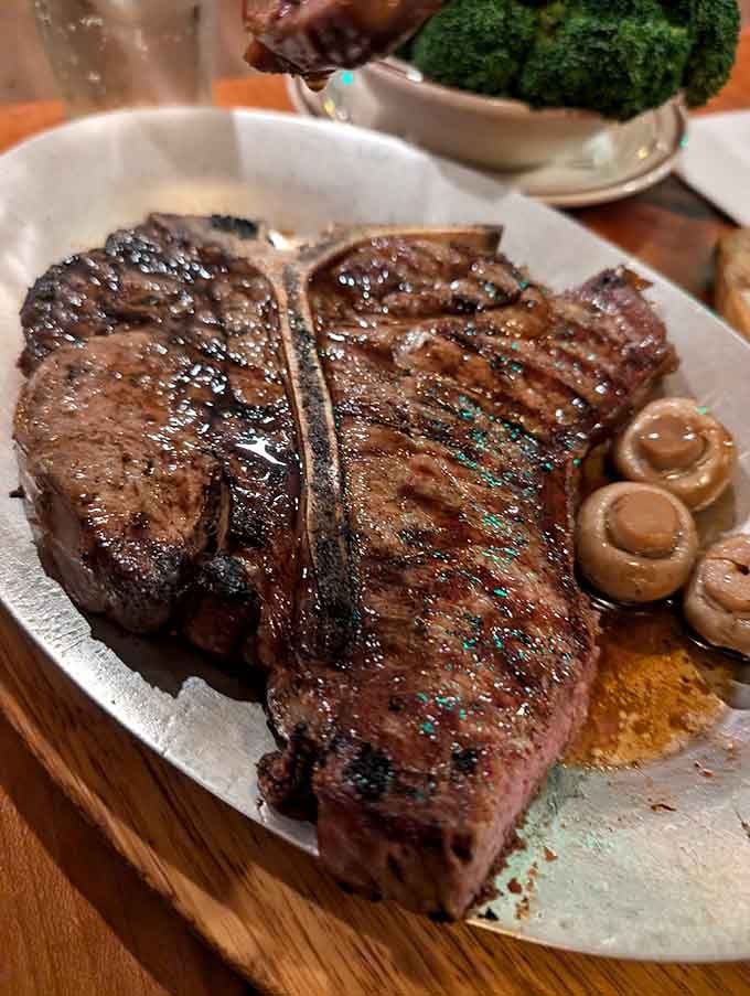 That T-bone could feed a small village, arriving with perfectly cooked mushrooms that deserve their own fan club and standing ovation.