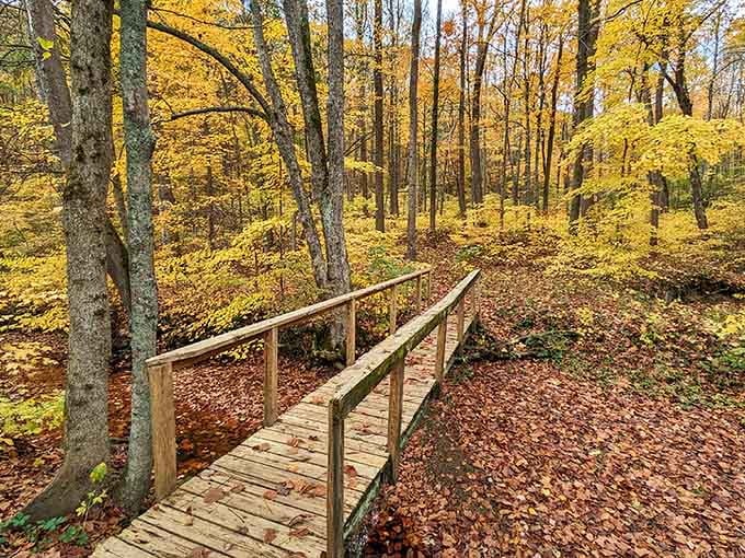 A wooden footbridge through golden autumn woods, because sometimes the journey really is better than the destination.