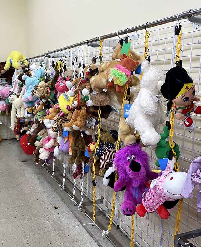 The stuffed animal wall&mdash;where forgotten teddy bears and purple monsters find new homes and children find new friends.