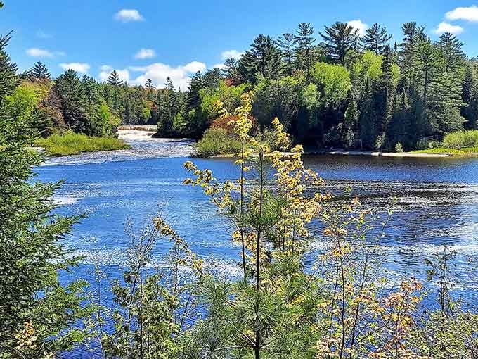 Experience the rushing amber waters and lush pine forests of Tahquamenon Falls State Park, a serene escape in Paradise, Michigan.