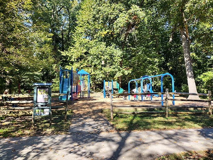 Sligo Creek Park offers more shades of green than you knew existed in nature's crayon box.