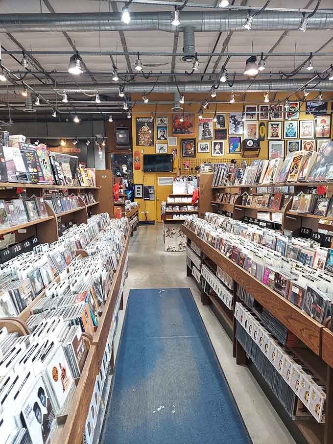 Vinyl records share space with books because apparently some of us still appreciate things that require actual effort to enjoy.