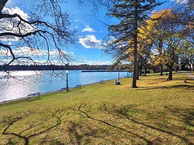 Autumn lakeside perfection. The kind of park bench view that makes you question why you ever thought city living was a good idea.
