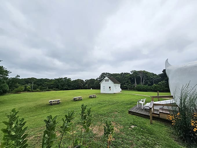 Those picnic tables and rolling green lawns make this the most unexpectedly peaceful rest stop you'll ever discover.