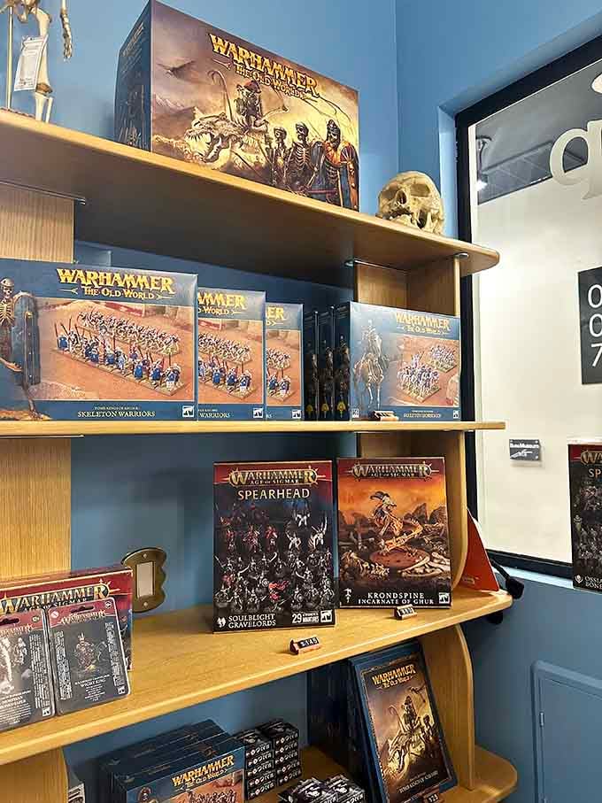 Even Warhammer skeleton warriors need a proper museum home, blending fantasy gaming culture with real anatomical education beautifully.