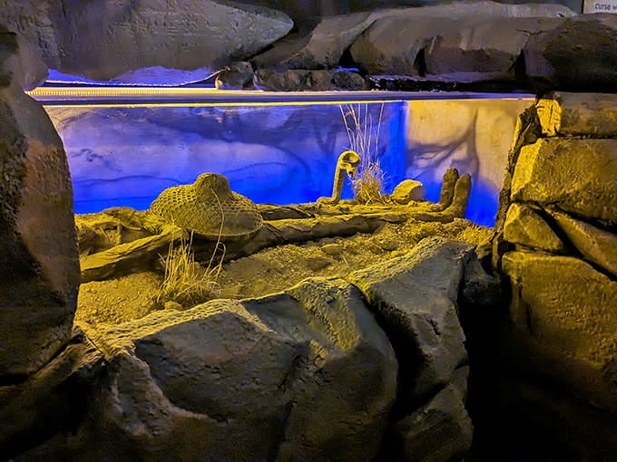 This mummified display sets the tone early: things are about to get wonderfully weird in the best possible way.