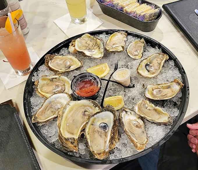 A dozen oysters on ice, glistening like edible pearls—this is what Gulf Coast dreams are made of.