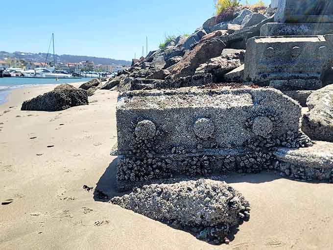 Barnacles have claimed their territory on recycled cemetery stones, adding unexpected texture to this acoustic sculpture.