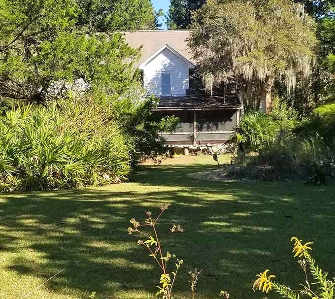 Spanish moss drapes everything like nature's own decorating scheme, no interior designer required for this beauty.