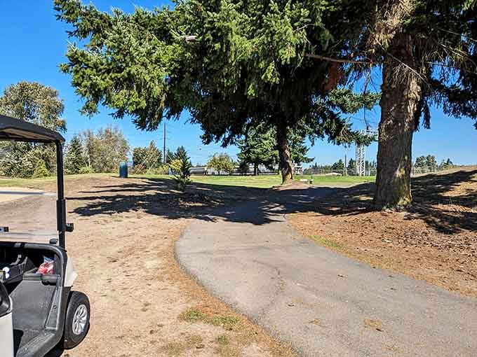 Winding paths under towering trees invite leisurely strolls, the kind where you actually notice the birds singing overhead.