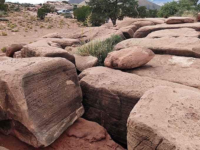 These ancient sandstone layers tell stories older than human memory, stacked like the world's most impressive geology textbook.
