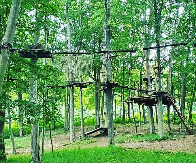 Not your average walk in the woods! TreeTrails Adventures turns Mystic's forest canopy into a playground where even the most dedicated couch potatoes find their inner Tarzan.