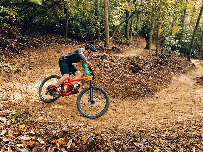 Mountain biking in Erwin's forests feels like discovering a secret playground. These trails offer thrills without the tourist crowds of more famous destinations.