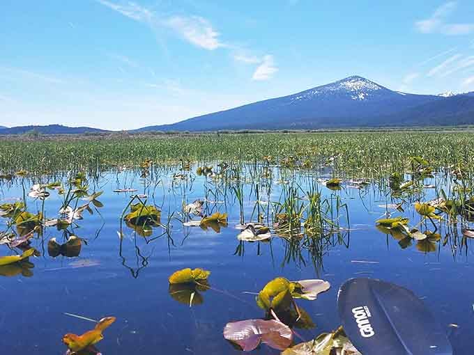 Upper Klamath's wetlands create nature's perfect mirror, reflecting mountain majesty while lily pads add nature's polka dots to the scene.