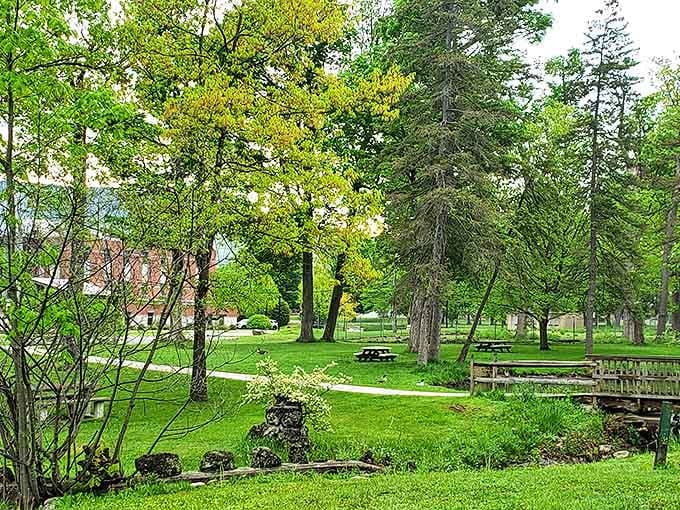 A peaceful green oasis where picnic tables invite you to linger. The kind of park where smartphones get forgotten and conversations actually happen.