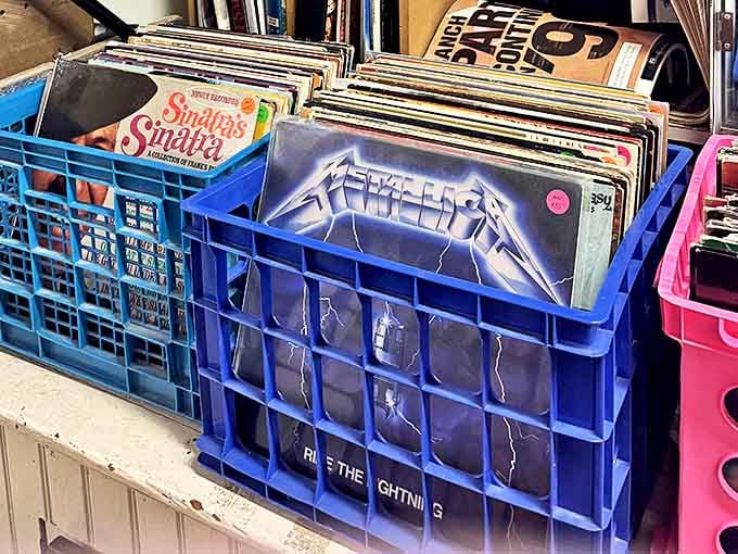 Vinyl heaven awaits crate-diggers&mdash;from Sinatra's smooth crooning to Metallica's thunderous riffs. That Beatles '95 TV Guide is calling your name!