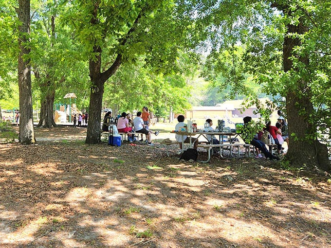 Family reunions at Cheraw's shaded picnic areas&mdash;where conversations flow as freely as the nearby lake waters, and nobody's arguing about politics (yet).