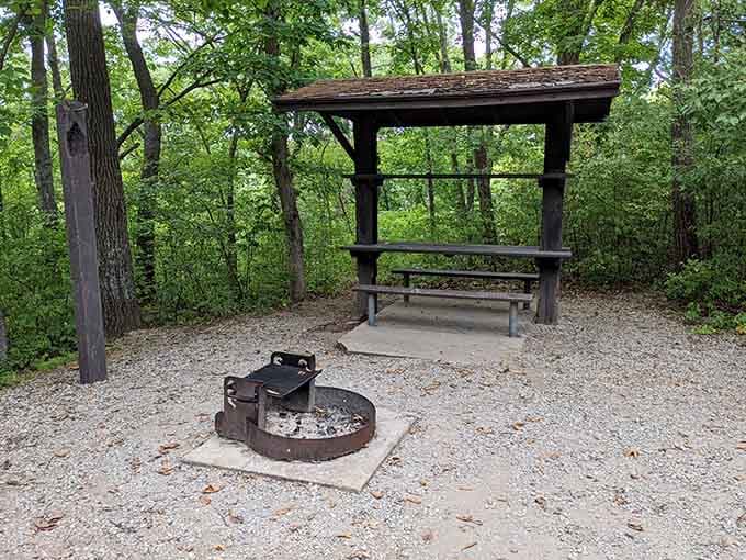 A covered picnic shelter with a fire ring, because s'mores taste better when there's a ghost story nearby.