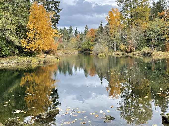 Fall transforms the pond into a mirror that even Narcissus would appreciate, minus the tragic ending.