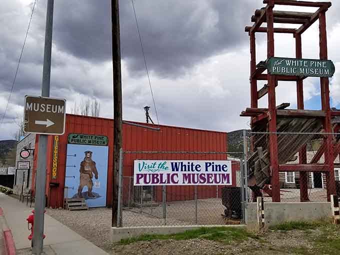 The White Pine Public Museum welcomes visitors with rustic charm and the promise of stories older than your grandfather's favorite jokes.