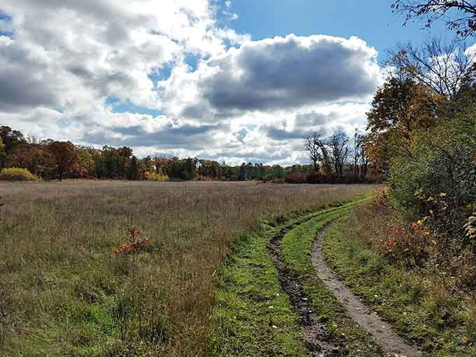 Prairie trails stretch toward clouds that look like they're showing off for the camera today.