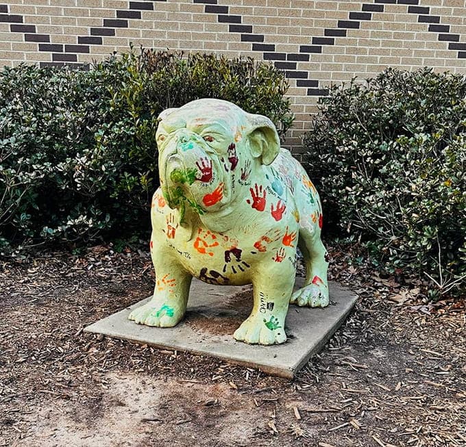 Even the University of Georgia mascot gets decorated with handprints, because traditions start young in Athens.