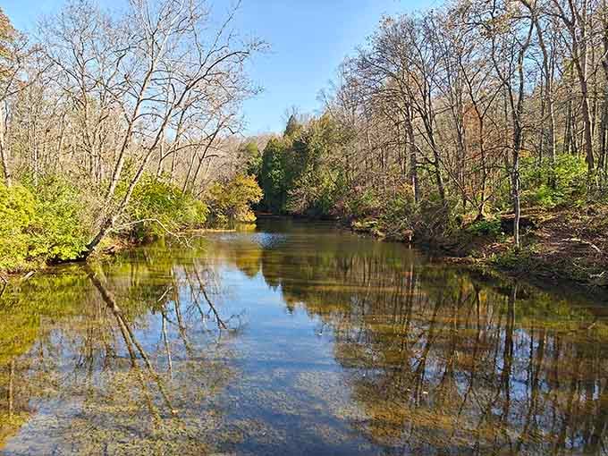 Reflections so perfect you'll think your phone camera suddenly got a professional upgrade without asking permission.