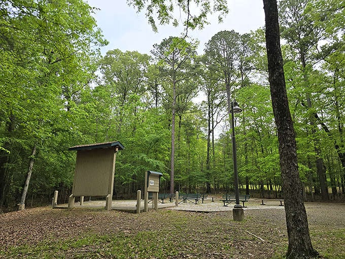 Nature provides the perfect backdrop for this peaceful picnic area. A shady respite where diamond dreams can be recharged.