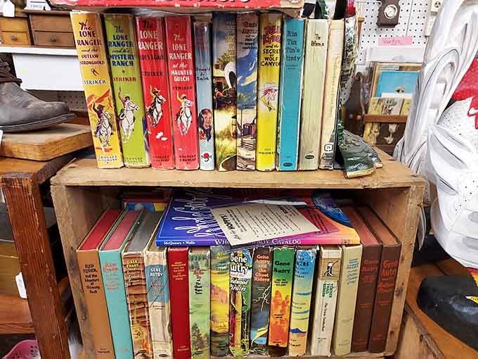 A literary goldmine for collectors&mdash;vintage Lone Ranger adventures stand at attention like colorful sentinels of a bygone era of American storytelling.