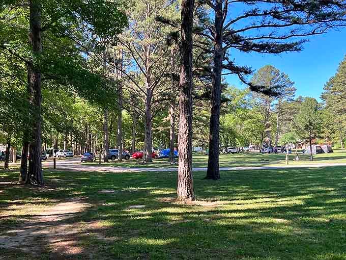 Camping among the pines where cell service fades and conversation returns. Remember those? They're like texting but with your actual voice.