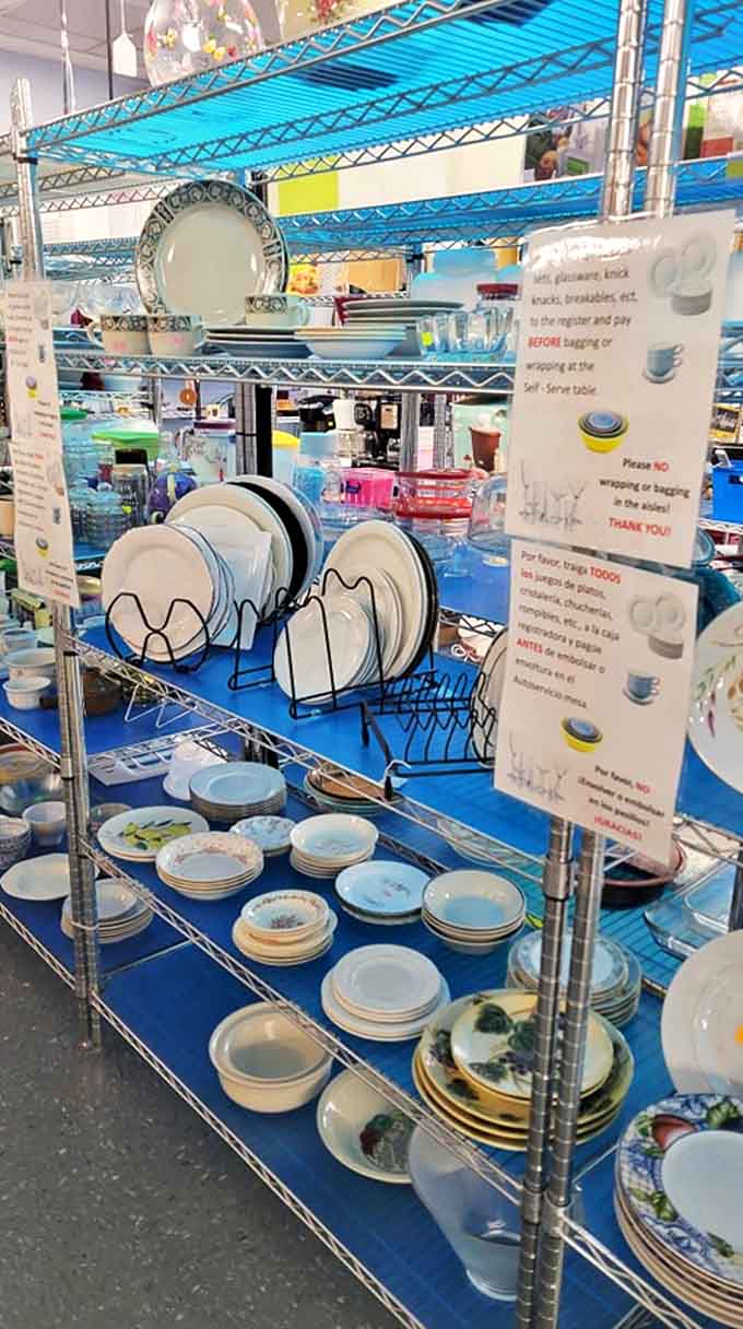 Dish-covering something special! The kitchenware section offers everything from everyday plates to conversation-starting vintage pieces.