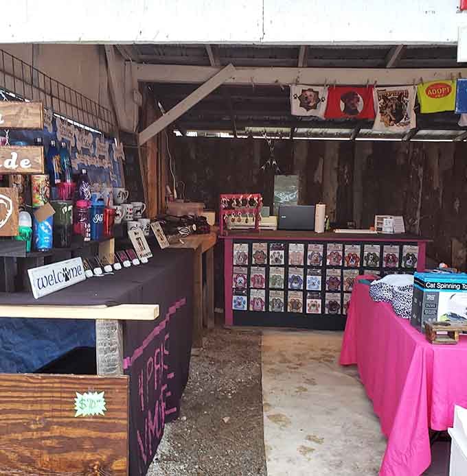 This vendor's eclectic display showcases the First Monday philosophy: if you can imagine it, someone's probably selling it—complete with homemade signage.