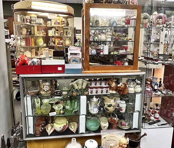 Display cases that function as miniature museums, where everyday objects from yesterday become conversation pieces for tomorrow.