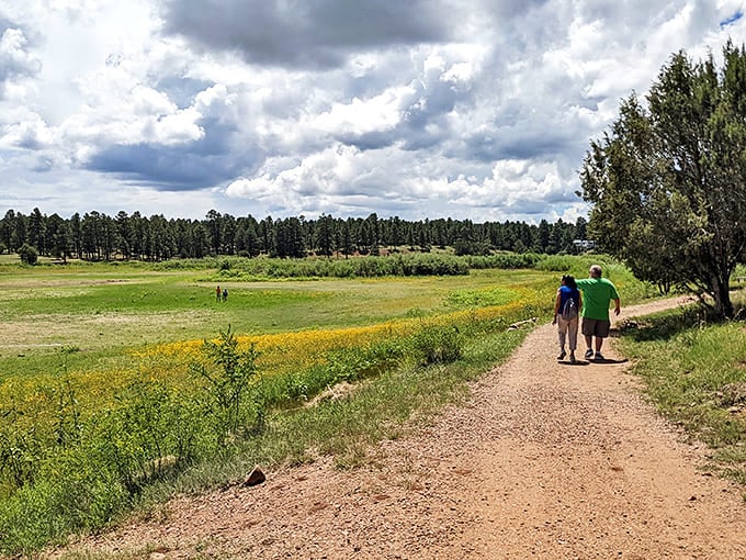 The path less traveled often leads to the best views. This trail through golden meadows promises adventure without requiring an Olympic training regimen.