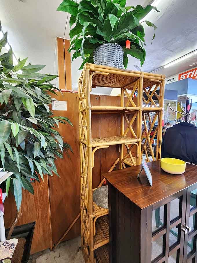 Bamboo shelving that screams "1970s sunroom chic." Add a houseplant, and you're suddenly the coolest grandparent on the block.