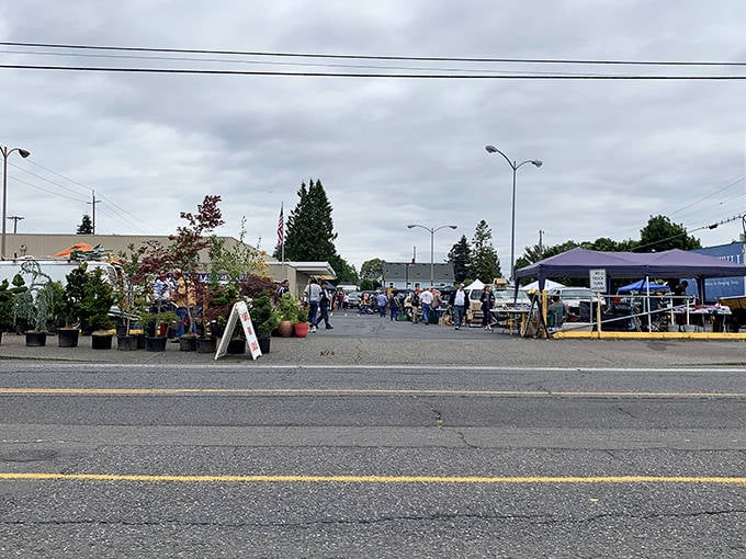 Even on overcast days, the market buzzes with energy as plant vendors and artisans create an impromptu community of creative commerce.
