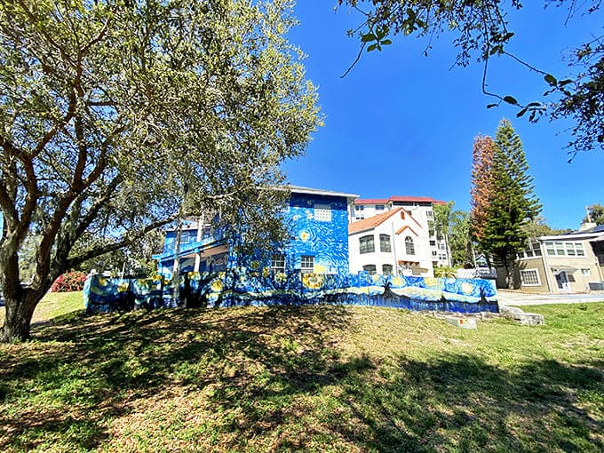 Perspective is everything! The rolling green landscape at the base transitions beautifully into that iconic turbulent sky&mdash;suburban Florida meets 19th century Saint-R&eacute;my.