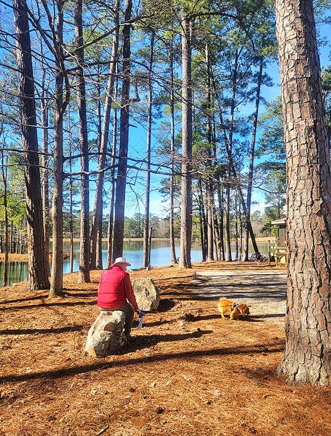 Pine-scented solitude with a side of canine companionship. Some therapy sessions come with tails and don't charge by the hour.