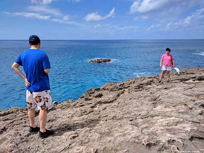 A Hawaiian monk seal taking a well-deserved beach day. When you're one of only 1,400 left, you get VIP lounging privileges.