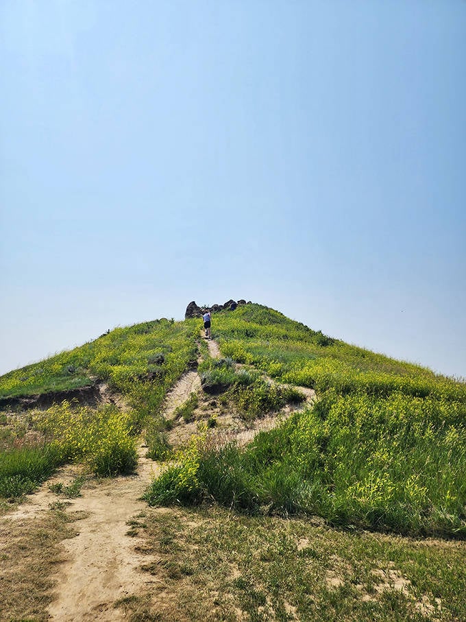 The path to greatness is sometimes steep and winding. This trail leads visitors up to their date with dairy destiny.
