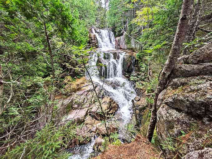 Cascading waterfalls provide nature's soundtrack &ndash; part symphony, part meditation app. The original white noise machine.