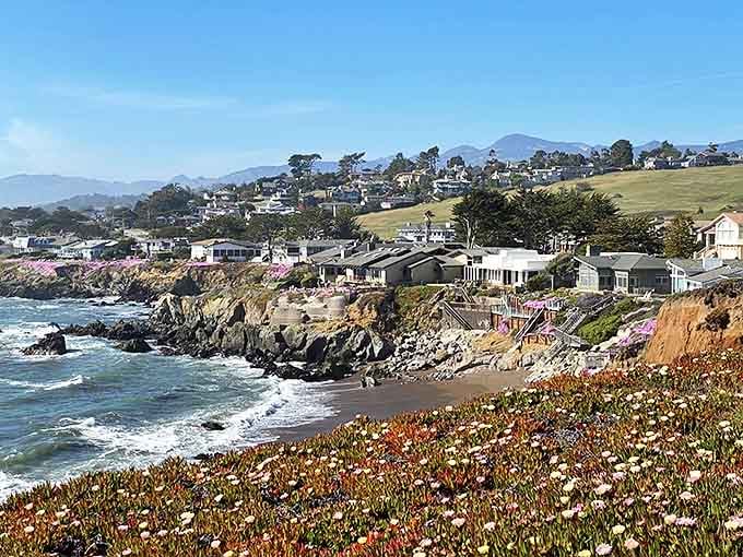 Cambria's rugged coastline offers dramatic views where homes perch above crashing waves and wildflowers carpet the bluffs.