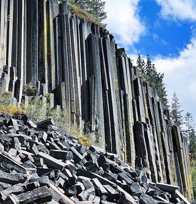 Volcanic columns shoot skyward like nature's own pipe organ, each hexagonal pillar standing perfectly straight and impossibly tall.