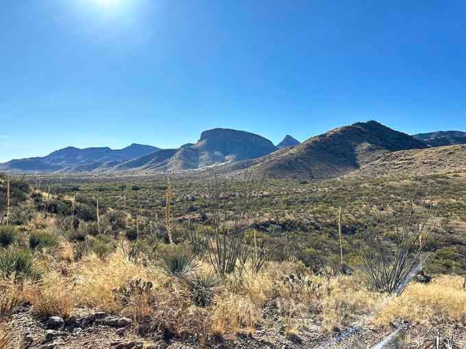The Chiricahua Mountains rise like ancient sentinels watching over ocotillo, agave, and your peaceful desert wanderings.