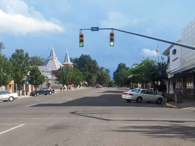 Tree-lined streets stretch toward distant mountains, offering views that are absolutely free with your affordable rent.
